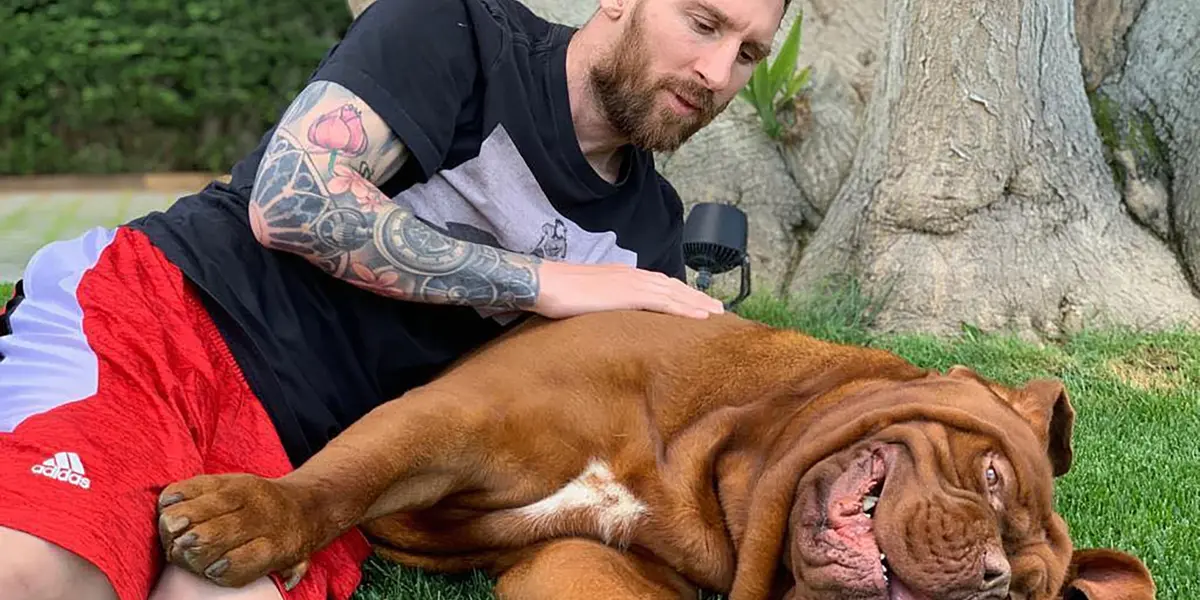 What is the life of Hulk, Lionel Messi's dog who has his own jacuzzi